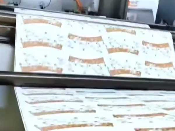 Dongguan New Spring Packaging Products Co., Ltd - Dongguan New Spring ...